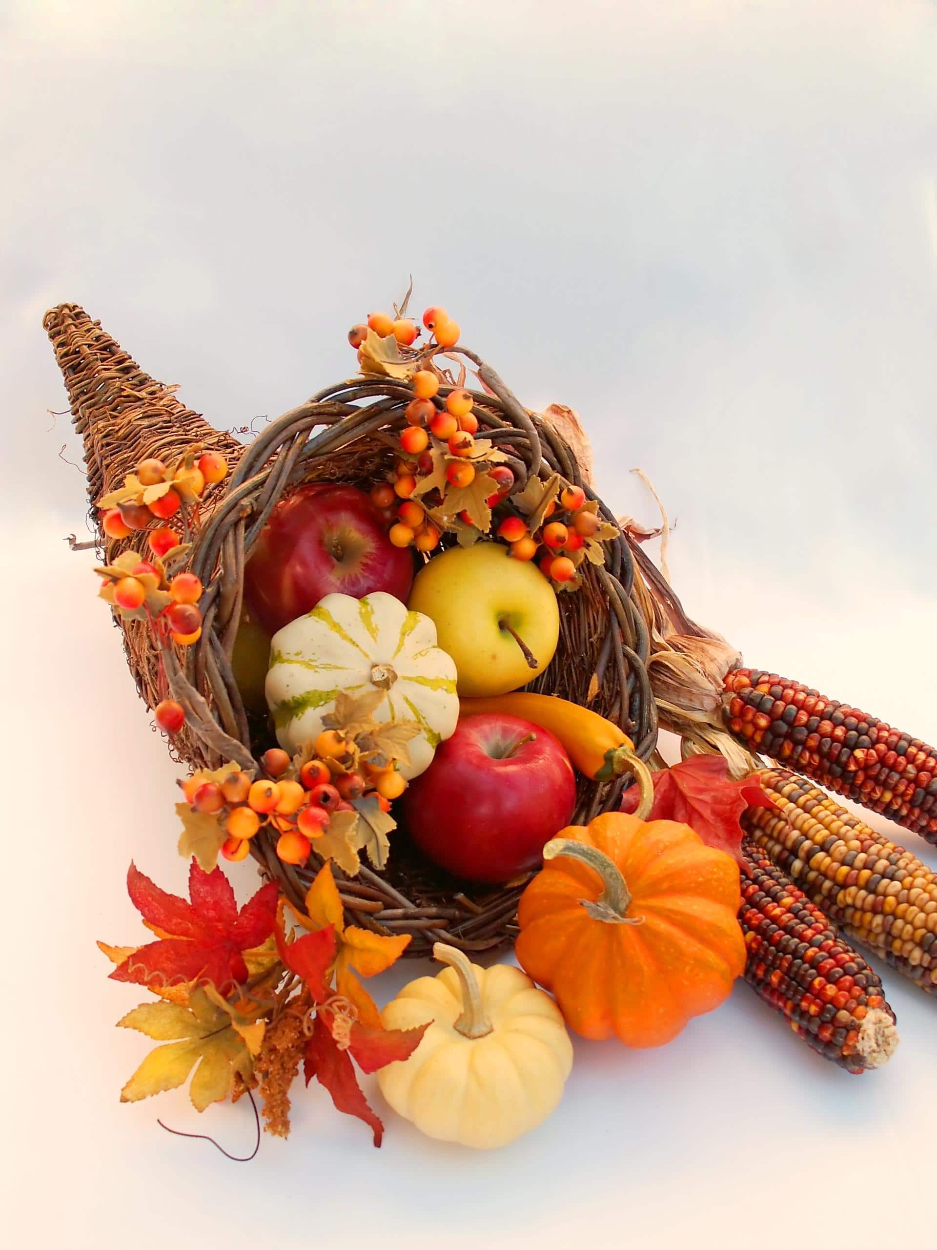 Thanks Giving | Cornucopia Essential Oils | Natures Fusions