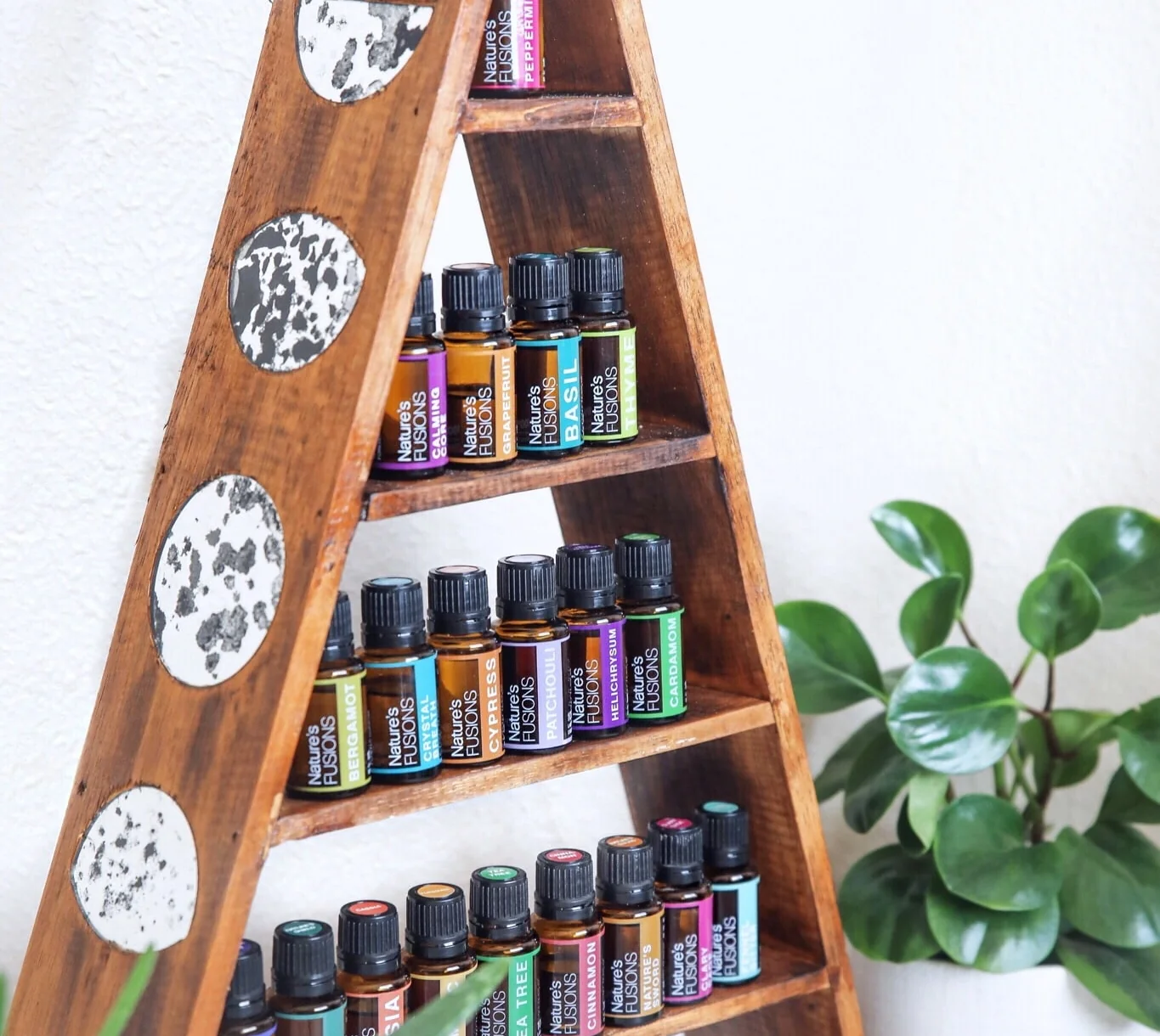 Why Nature's Fusions?