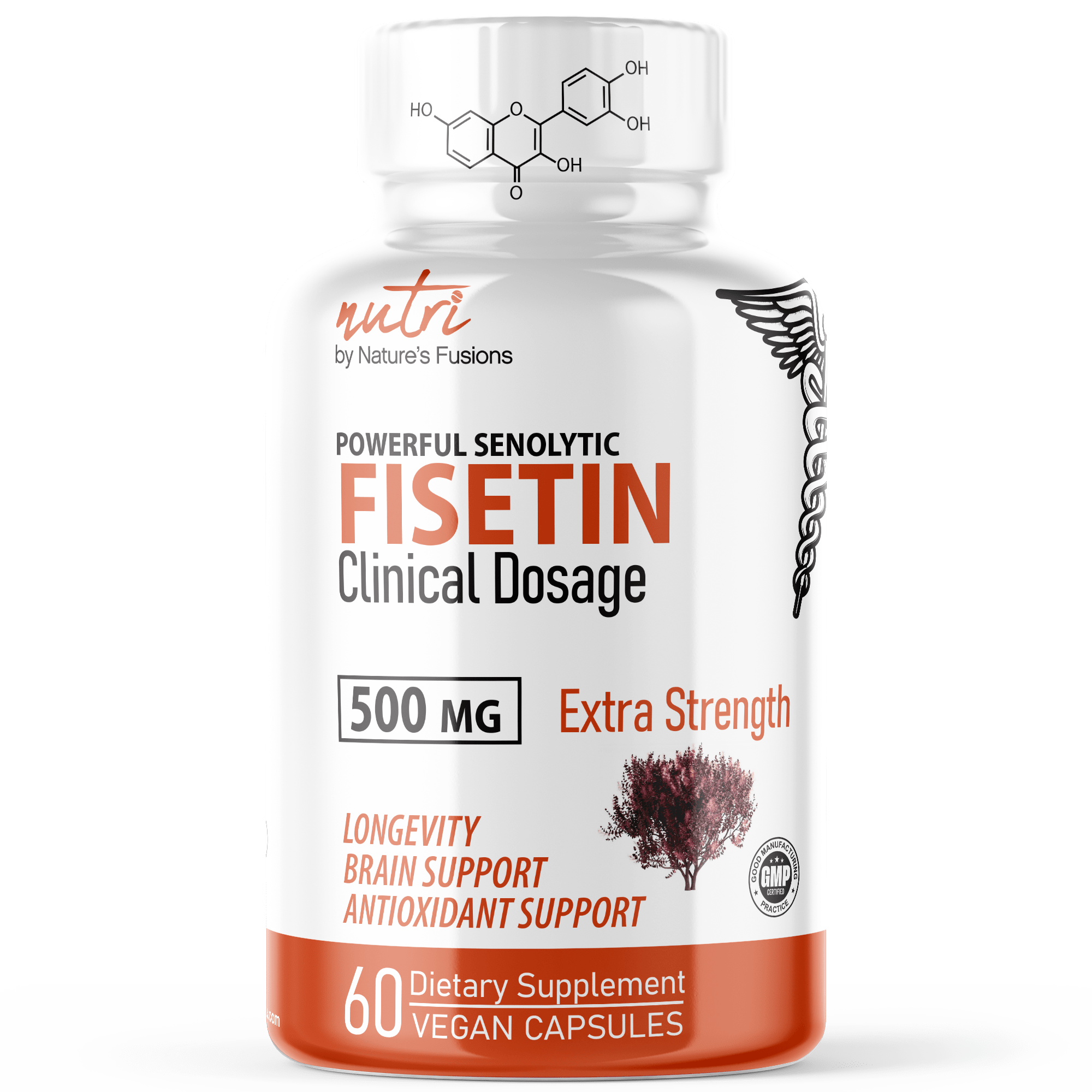 Nutri SenoFi – Fisetin 500mg – Powerful Senolytic Antioxidant